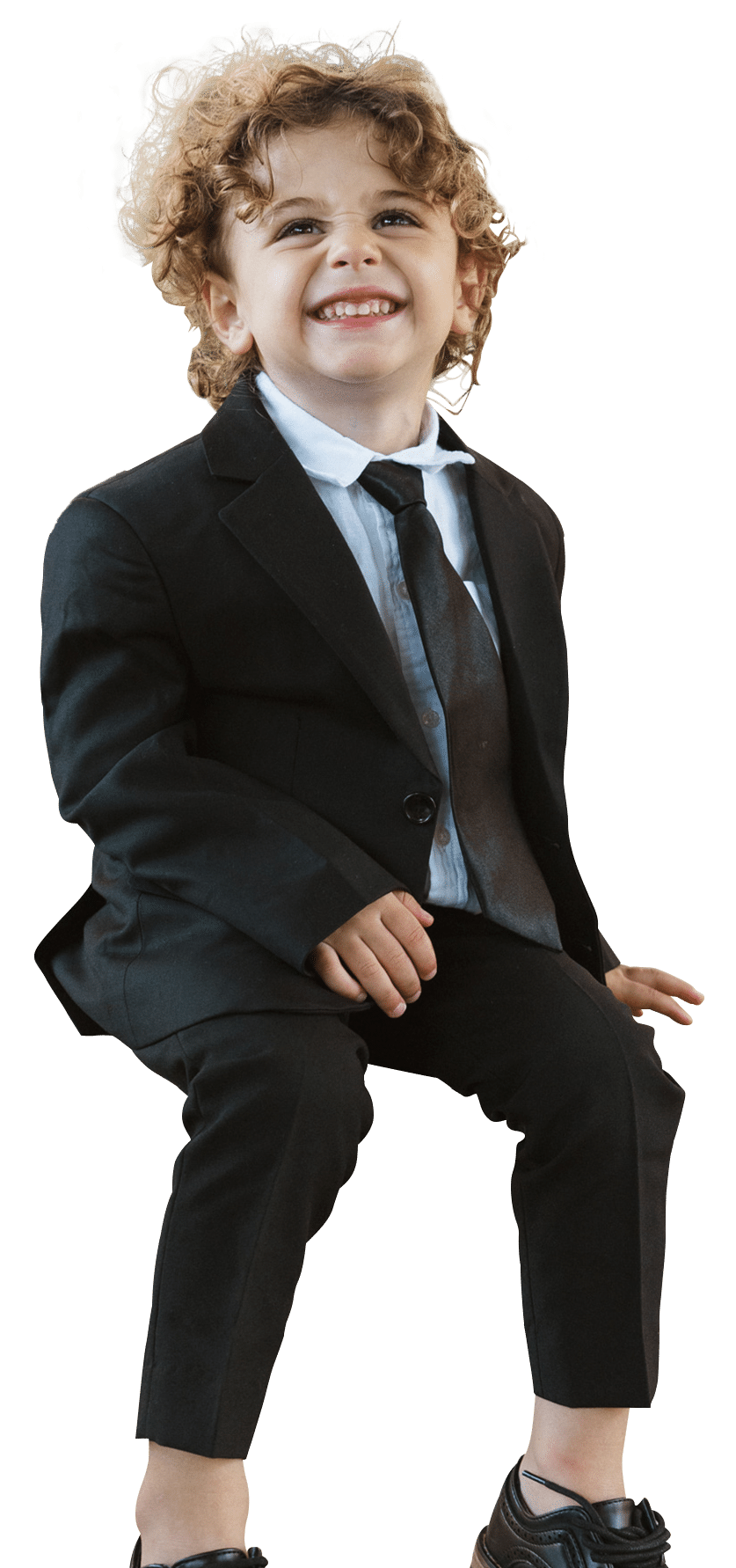 Meet The Team | Shamieh Law